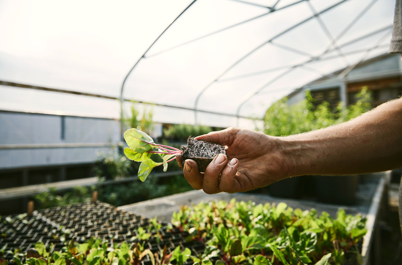 Farmstead Favorites - Explore Christian County