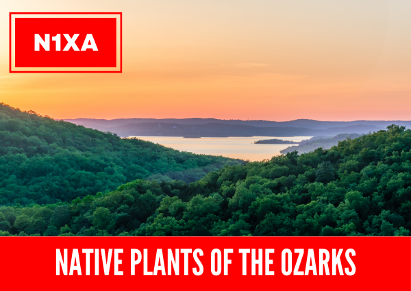 Native Plants of the Ozarks - Explore Christian County